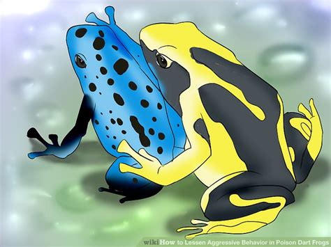 How To Draw A Poison Dart Frog Step By Step At Lloyd Sutton Blog