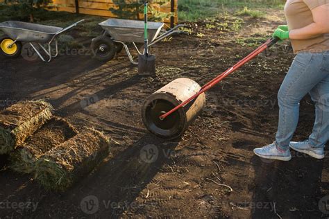 Woman Laying Sod For New Garden Lawn Turf Laying Concept 23034044