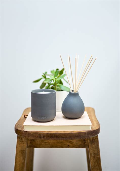 Japanese Garden Diffuser Trading Boundaries