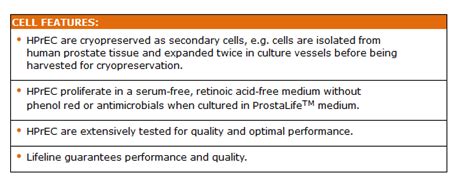 Primary Human Prostate Epithelial Cells