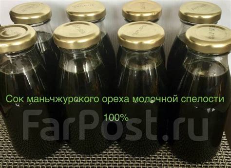 Сок маньчжурского ореха молочно-восковой спелости, в наличии. Цена: 1 ...