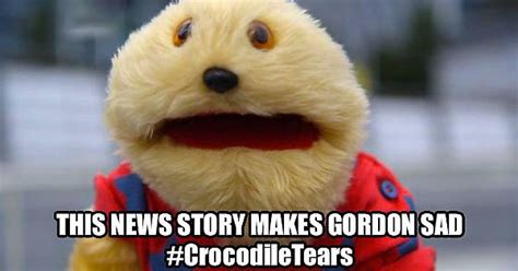 Gordon The Gopher Is Not Impressed Album On Imgur