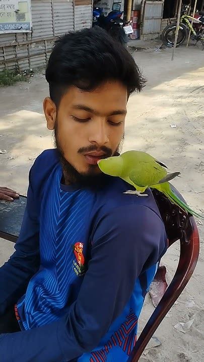 টিয়া পাখিকে যেভাবে মানুষের কথা শোনাবেন Youtube