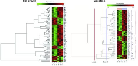 heat maps and dendrograms hierarchical clustering was applied to the