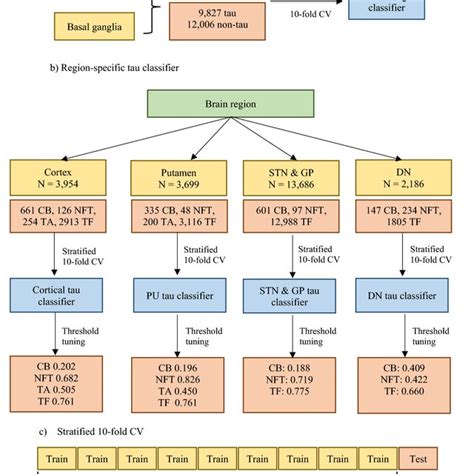 Examples Of Correct Classification From The Held Out Test Set For Each