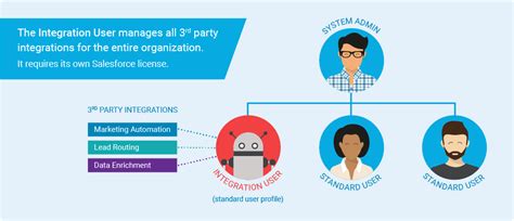 salesforce integration required permissions for the authenticated user
