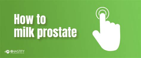 The Ultimate Guide To Prostate Milking Techniques Benefits And Prec