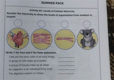 SUMMER PACK Activity 01 Levels Of Cellular StudyX