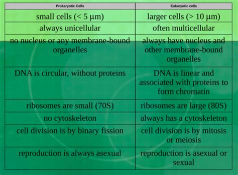Cell Test Flashcards Quizlet