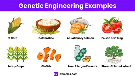 Genetic Engineering