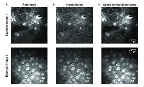 Denoising Performance Of Two Representative Synthetic Two Photon