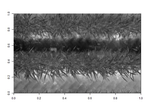 Recovering Summer 2017 Flir Data And Preventing Future Errors · Issue