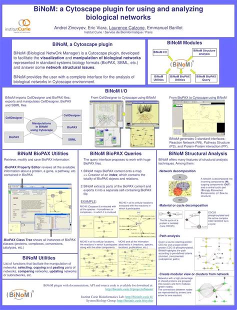 Ppt Binom A Cytoscape Plugin For Using And Analyzing Biological Networks Powerpoint