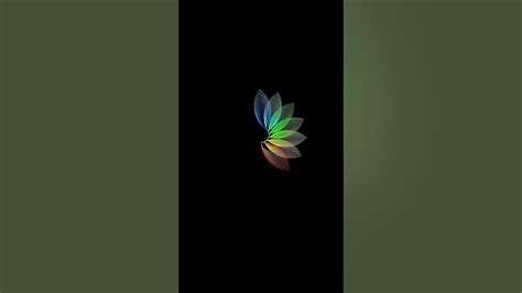 Amazing Flower Design Using Pythonturtle Python Coding Funny Viral