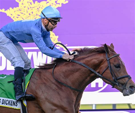 Charles Dickens Runs Cape Classic Hollywoodbets Kenilworth Sportnow