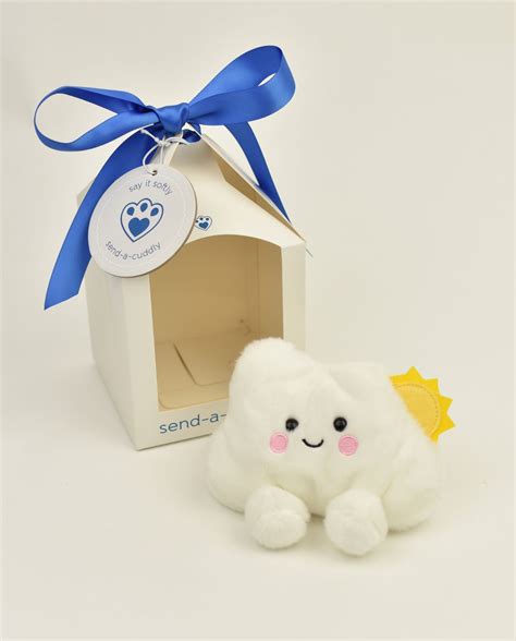 Cuddly Cloud Soft Toy Quirky Cloud T Send A Cuddly
