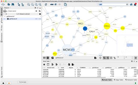 10 Finding And Filtering Nodes And Edges — Cytoscape User Manual 382