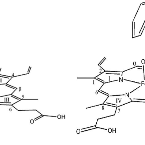 The Structure Of A The Demetallated Green Heme N Abpp And B Intact