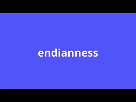 What Is The Meaning Of Endianness YouTube