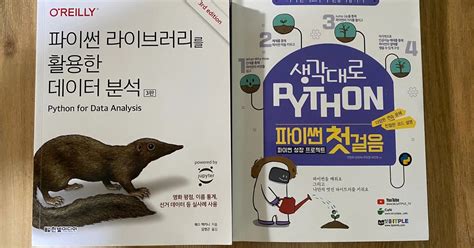 일괄새책 파이썬 라이브러리를 활용한 데이터 분석3판 And 생각대로 파이썬 첫걸음 동교동 도서 당근 중고거래