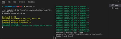 Compilation Failed Custom Global · Issue 1698 · Typestrongts Node