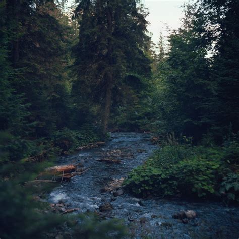 Alisha Grant Spotify