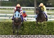 中山グランドジャンプ2017特集 出馬表レース結果競馬予想のウマニティ