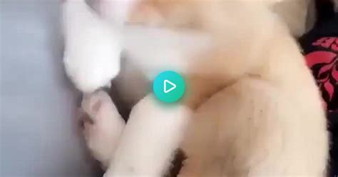 When She Is Losing The Argument And Decides To Bust Out A Cheat Code