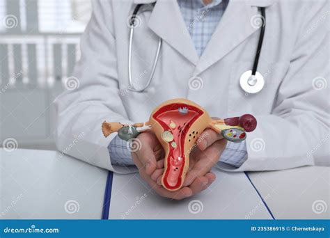 Gynecologist Demonstrating Model Of Female Reproductive System In