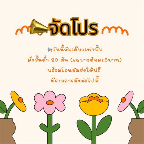 📣 สวนสุภาภรณ์ พันธุ์ไม้ ไม้รั้ว ไม้ประดับ ไม้มงคล ราคาถูก
