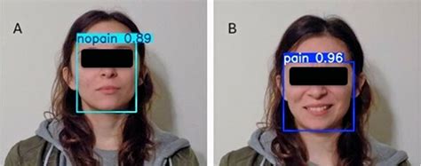 employing the artificial intelligence object detection tool yolov8 for
