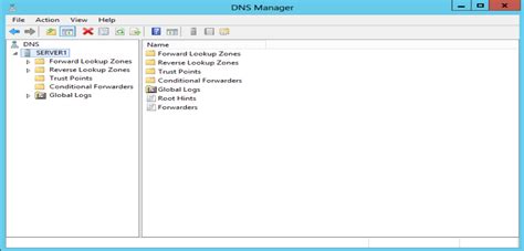 Learn About Windows Server 2012 R2 Dns In Brief Techyv Com