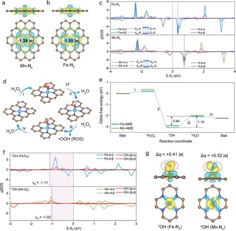 Dft Theoretical Calculation On The Ros Catalysis With H2o2 Substrate