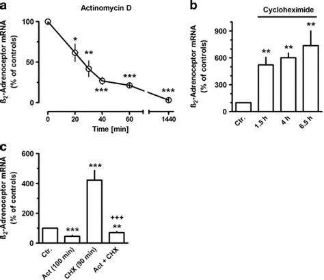 Time Dependent Effects Of Actinomycin D Act 30 μm Andor