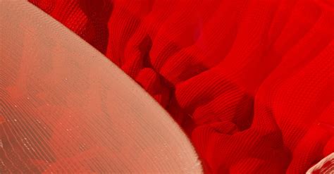 有关3d回报 Cgi 三维 人工智慧 人工智能伦理 人工智能安全 人工机器学习 人类人工智能 公平 可视化人工智能 对准 技術 抽象 数据标签 數位 深度学习