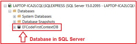 Database Initialization In Entity Framework Dot Net Tutorials