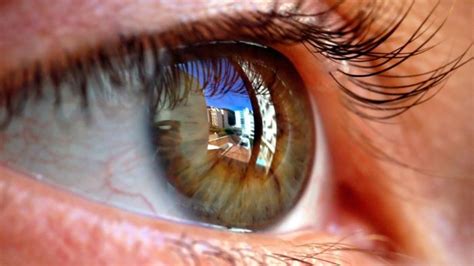 What Do We See Revisited Reasoned Cases For Christ