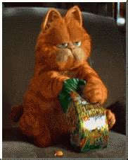 Garfield  Garfield Discover And Share S