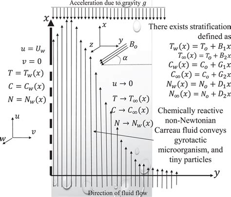 Physical Configuration In The Xy Xy‐domain Download Scientific Diagram