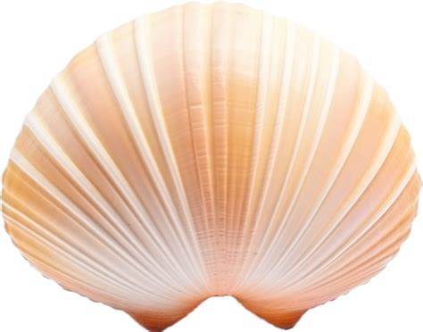 Ai Generated Seashell Nature Png 34918796 Png