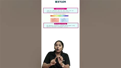 ഒരു പാഠം ഒരു മിനുട്ടിൽ Xylem Class 7 Youtube