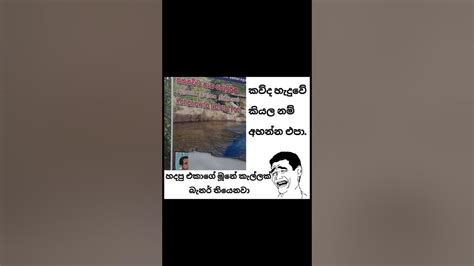 මෙන්න නන්න සුපිරි පොට් එක 😅😂🤣😁 Sinhala Meme Shorts Youtube