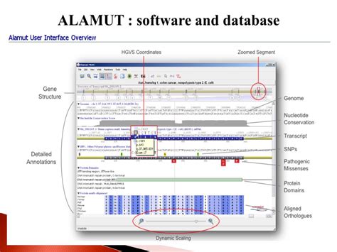 Ppt Software Programs For Sequence Variant Detection And