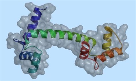 CCP Newsletter Article PyMOL An Open Source Molecular Graphics Tool