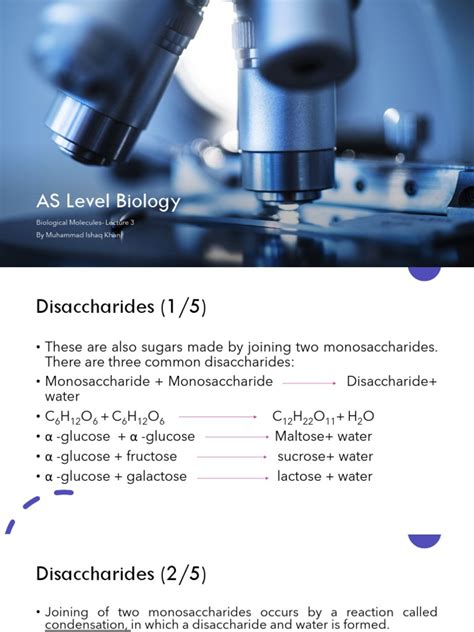 Lecture 3 Biological Molecules Pdf
