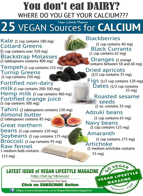 Non Dairy Calcium Rich Foods Chart
