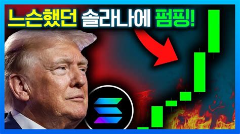 밈코인 만들다가 실수로 그만초급등 트럼프 솔라나 알트코인 취임식 비트코인 이더리움 온도 월드리버티파이낸셜 트럼프 밈코인 캣인어독스월드 Youtube