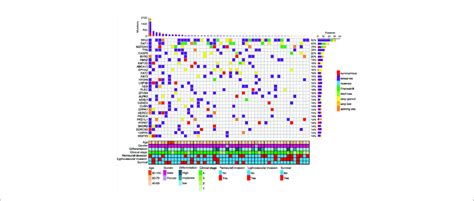 Distribution Of The 20 Most Frequently Mutated Genes In The Oscc Download Scientific Diagram