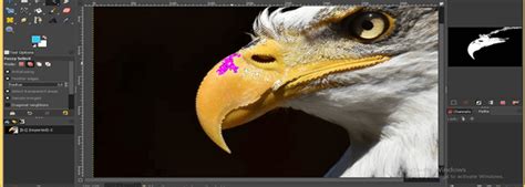 Gimp Replace Color Learn How To Replace Color In Gimp