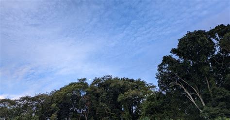 メッセージを携えるもの ｜itomichiのニットとこぼれ話